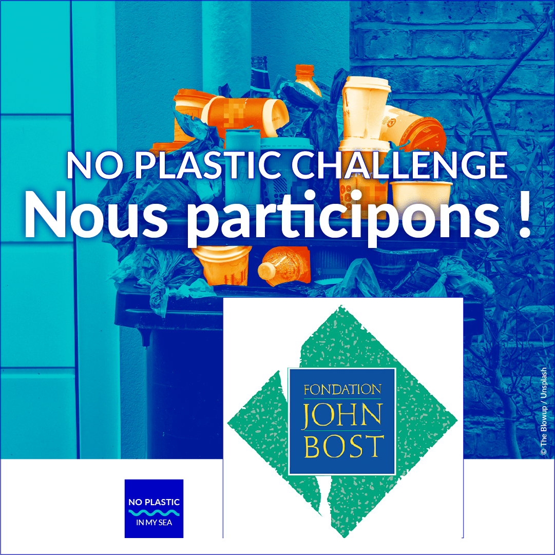 No Plastic Challenge 2024 : les professionnels des services ...